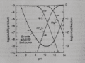 Understanding struvite formation - OMEX Environmental