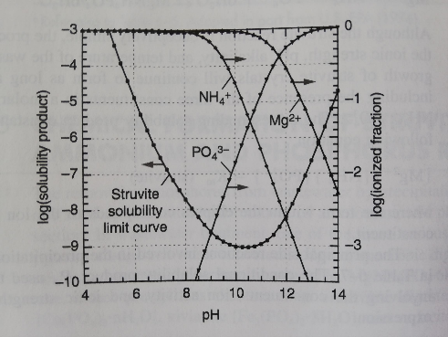 Understanding struvite formation - OMEX Environmental